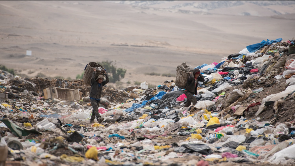 Día del Reciclador: ¿Qué cambios y beneficios trajo la formalización ...